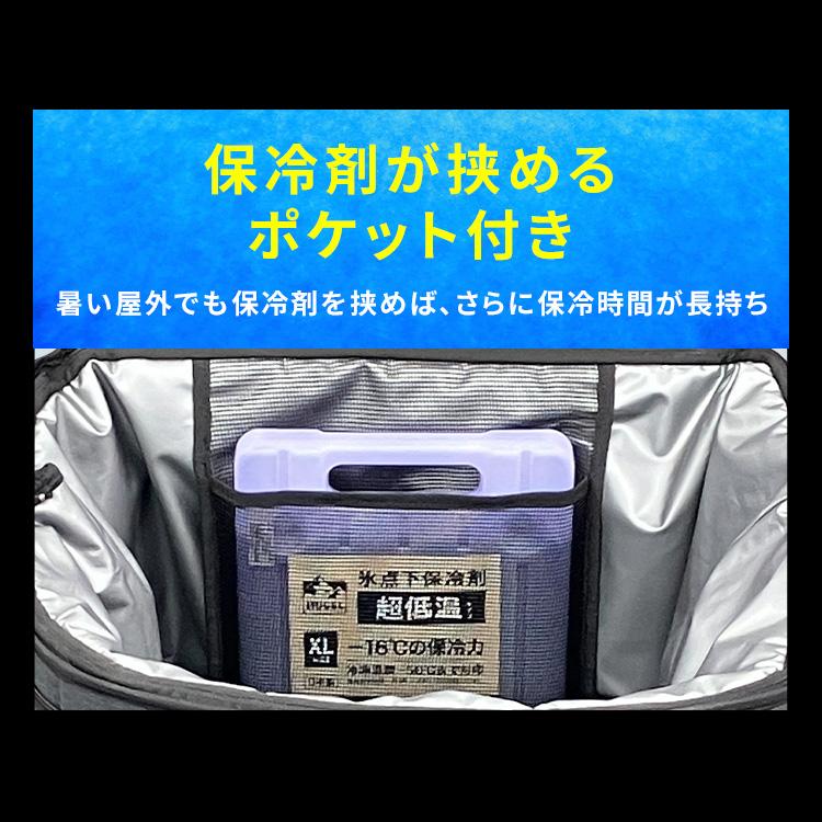 IRIS OHYAMA（アイリスオーヤマ） クーラーボックス 25L 小型 保冷力