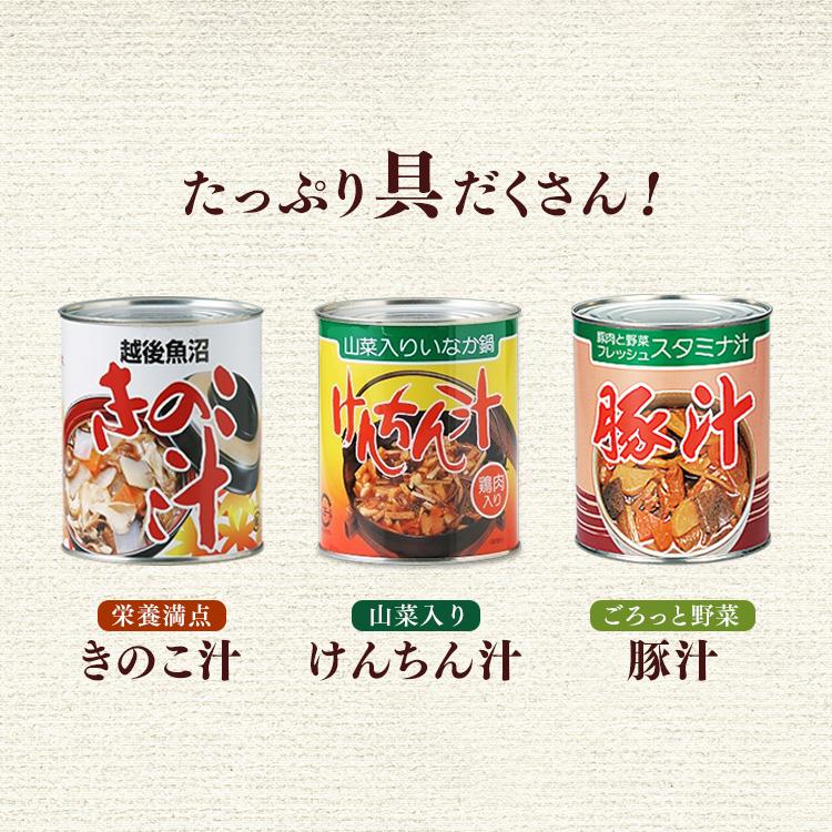IRIS OHYAMA 防災食 保存食 けんちん汁 きのこ汁 豚汁 2号缶 820g 防災用品 非常食 缶詰 具だくさん 山菜 防災 備蓄 手軽 アイリスフーズ : メガストア Yahoo!店 ...