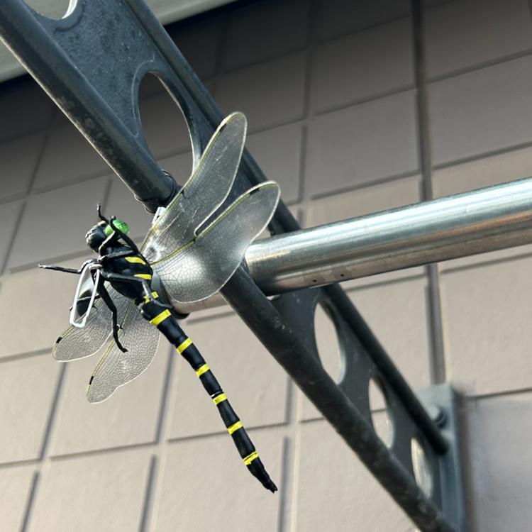 レジャー・スポーツ アウトドア用品 鬼ヤンマ HDL-3440 (メール便) : 7270364 : メガストア Yahoo!店 - 通販 - Yahoo!ショッピング