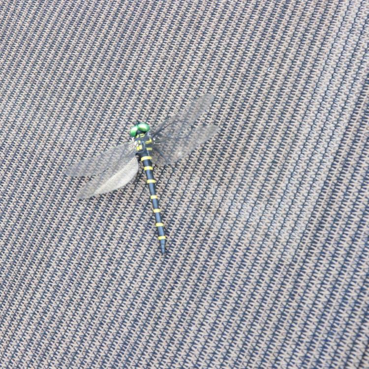 オニヤンマ 虫除け アウトドア キャンプ レジャー 鬼ヤンマ HDL-3440 (メール便) : メガストア Yahoo!店 - 通販 - Yahoo!ショッピング