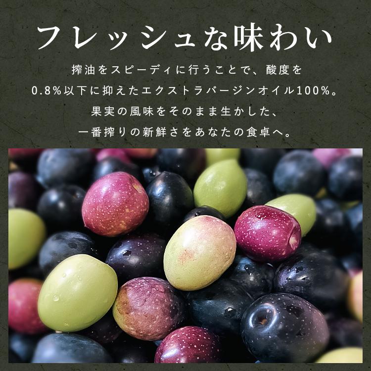 オリーブオイル エキストラバージン エクストラバージンオリーブオイル 750ml 3本 ギフト サカイトレーディング : メガストア Yahoo!店 - 通販 - Yahoo!ショッピング