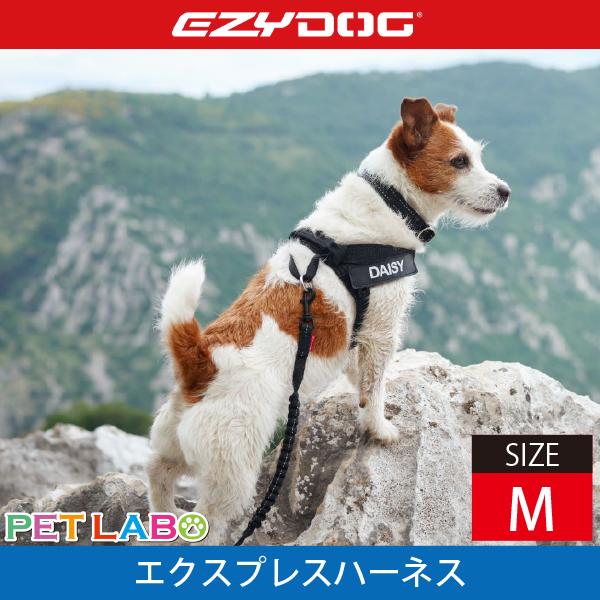 EZYDOG(イージードッグ) エクスプレスハーネス(Mサイズ) 犬用 胴輪 散歩 ハンドル付き 反射機能 EVA製パッド オリジナルラベル : ペット用品通販ペットラボ - 通販 ...