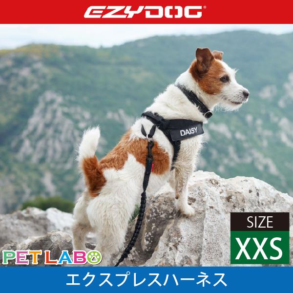 EZYDOG(イージードッグ) エクスプレスハーネス(XXSサイズ) 犬用 胴輪 散歩 ハンドル付き 反射機能 EVA製パッド オリジナルラベル : ペット用品通販ペットラボ - 通販 ...