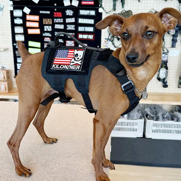 KILONINER アメリカ生まれのKILONINER(キロナイナー) オリジナルデザインワッペン(1) 胴輪 お散歩 お出かけ 刺繍 PVC リフレクション : ペット用品通販ペットラボ ...