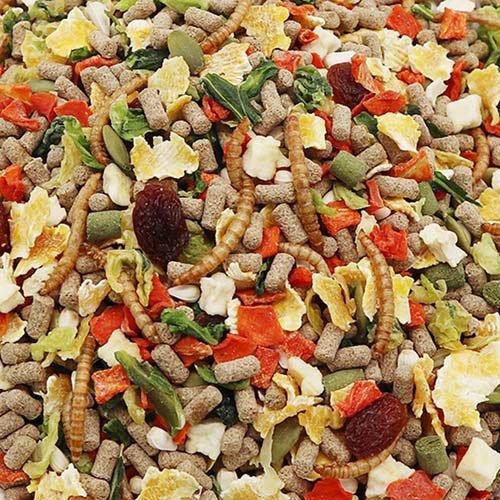 シマリステイストプラス ( 380g ) : ペットランドYahoo!店 - 通販 - Yahoo!ショッピング