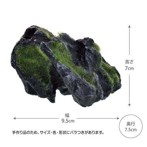 癒し水景 モスロック Hide ( 24セット ) : ペットランドYahoo!店 - 通販 - Yahoo!ショッピング
