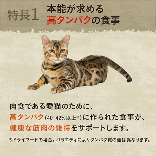 WILD RECIPE ニュートロ キャット ワイルドレシピ アダルト チキン 成猫用 2kg 4902397845751 : pet oukoku standard - 通販 - Yahoo ...