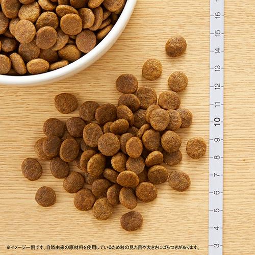 WILD RECIPE ニュートロ ワイルドレシピ 超小型犬〜小型犬用 成犬用 ラム 2kg x2個 4562358788604 : pet oukoku standard - 通販 ...