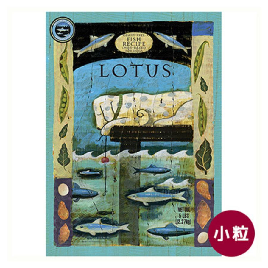 ロータス LOTUS グレインフリー フィッシュレシピ 小粒 2.27kg ×2個セット 4582259271241 : pet oukoku standard - 通販 - Yahoo!ショッピング
