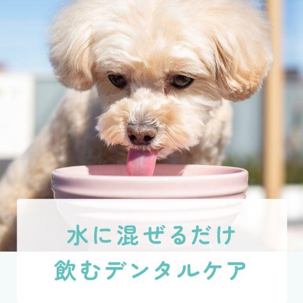 ケーピーエス KPS ハノケア マウスクリーナー オリジナル 473ml 犬用 猫用 0184877000025 : pet oukoku premium - 通販 - Yahoo!ショッピング