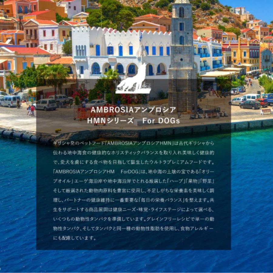 AMBROSIA アンブロシア HMN ターキー オリーブオイル入り 5kg ドッグフード 5214001832873 : pet oukoku premium - 通販 - Yahoo!ショッピング