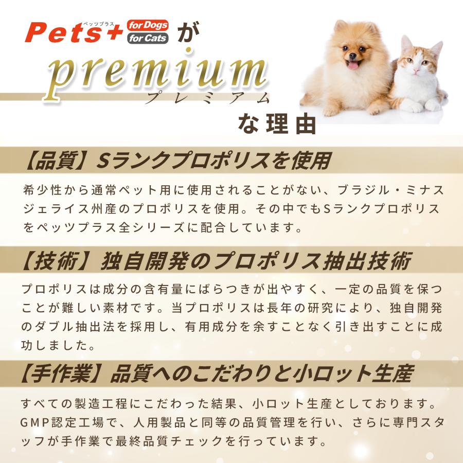 Pets+ 2個セット 関節 骨 腰 猫の サプリメント プロポリス グルコサミン コンドロイチン ヒアルロン酸 ネコ ペット ペッツプラス プレミアムアクティブ : ペッツプレミア - 通販 ...