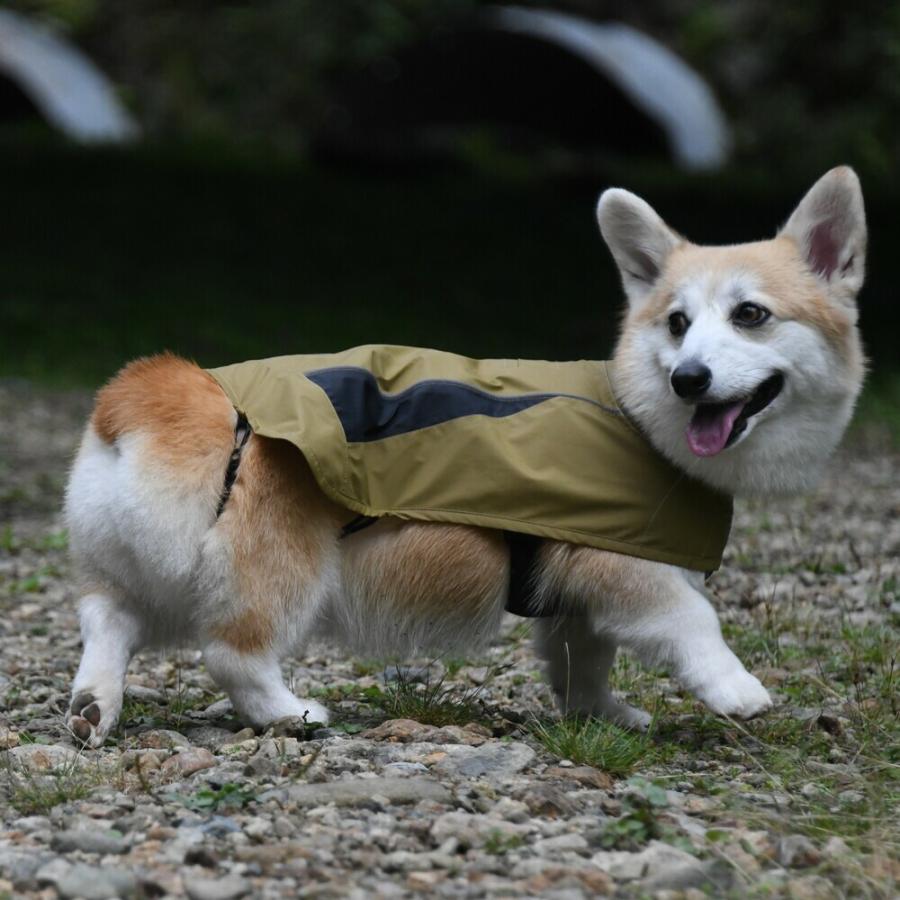 GEWALK ジウォーク プロテクト レインコート L 犬 いぬ イヌ DOG 服 アウトドア : PETSREPUBLICヤフー店 - 通販 - Yahoo!ショッピング