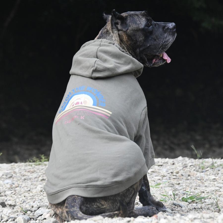 【GEWALK】 HORIZON HOODIE 【4XL】 犬 いぬ イヌ DOG 服 : lge607-7000 : PETSREPUBLICヤフー店 - 通販 - Yahoo!ショッピング
