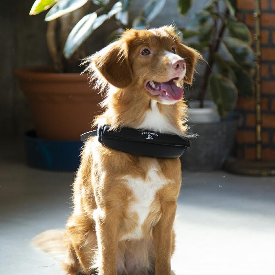 TRE PONTI トレポンティパディング 犬 いぬ イヌ DOG ハーネス リード リーシュ 国内正規輸入販売元 ...
