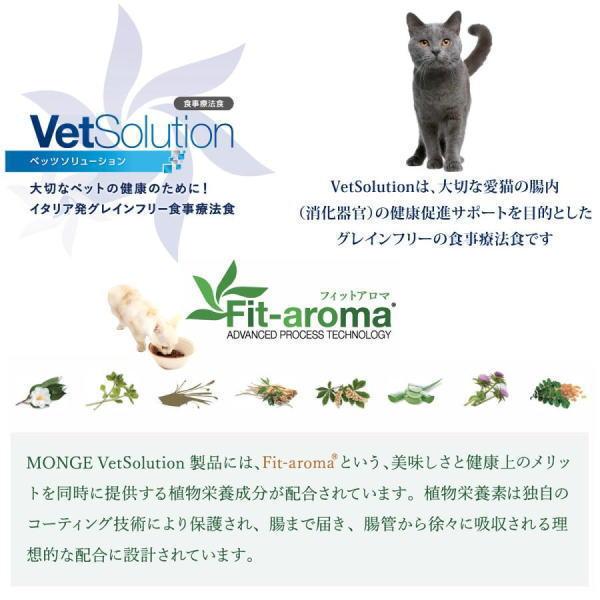 VetSolution ジャパンペット ベッツソリューション 猫用 腎臓サポート 2kg × 7個（ケース販売） : ペット良品倶楽部ヤフー店 - 通販 - Yahoo!ショッピング