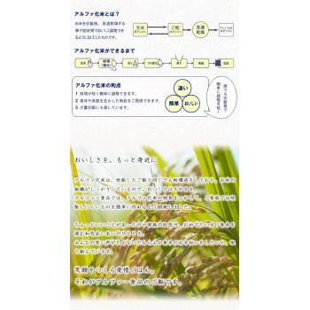 アルファー食品 お赤飯 203g(2人前) ×20箱セット : PHANTOMSTORE - 通販 - Yahoo!ショッピング