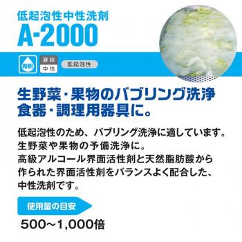 サラヤ 中性洗剤A-2000 5kg 31645 : PHANTOMSTORE - 通販 - Yahoo!ショッピング