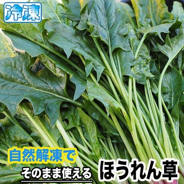 ほうれん草 1kg (500g×2パック）そのまま使える カットほうれん草 自然解凍 即席みそ汁 インスタント 具沢山 カット野菜 常備野菜 ホウレンソウ IQF : PHI PHI SHOP ...