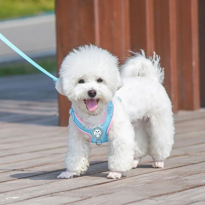 コンビカラー ソフトメッシュハーネス＆リードセット 小型犬 中型犬用 ペット用 犬具 パステルカラー 胴輪 犬ハーネス 簡単装着 ...