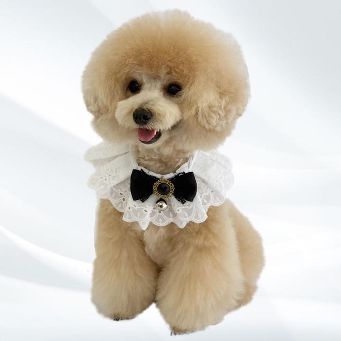 ☆送料無料☆ブラックビジューレースボウ カラー 首輪 犬グッズ 猫グッズ ネクタイ リボン首輪 ネコ服 犬服 バックル式 PAS0023 ...