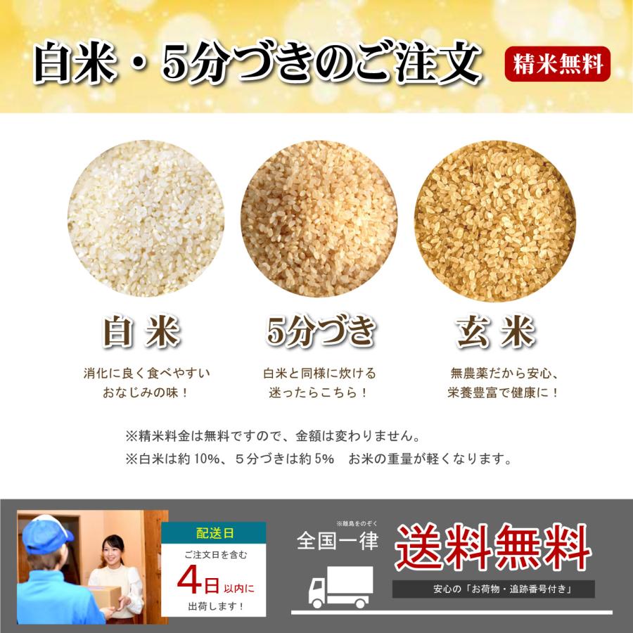 1.8kg(600gx3袋) 無農薬 無肥料 ササニシキ 亀の尾 コシヒカリ 玄米 白米 : PHNstyle - 通販 - Yahoo!ショッピング