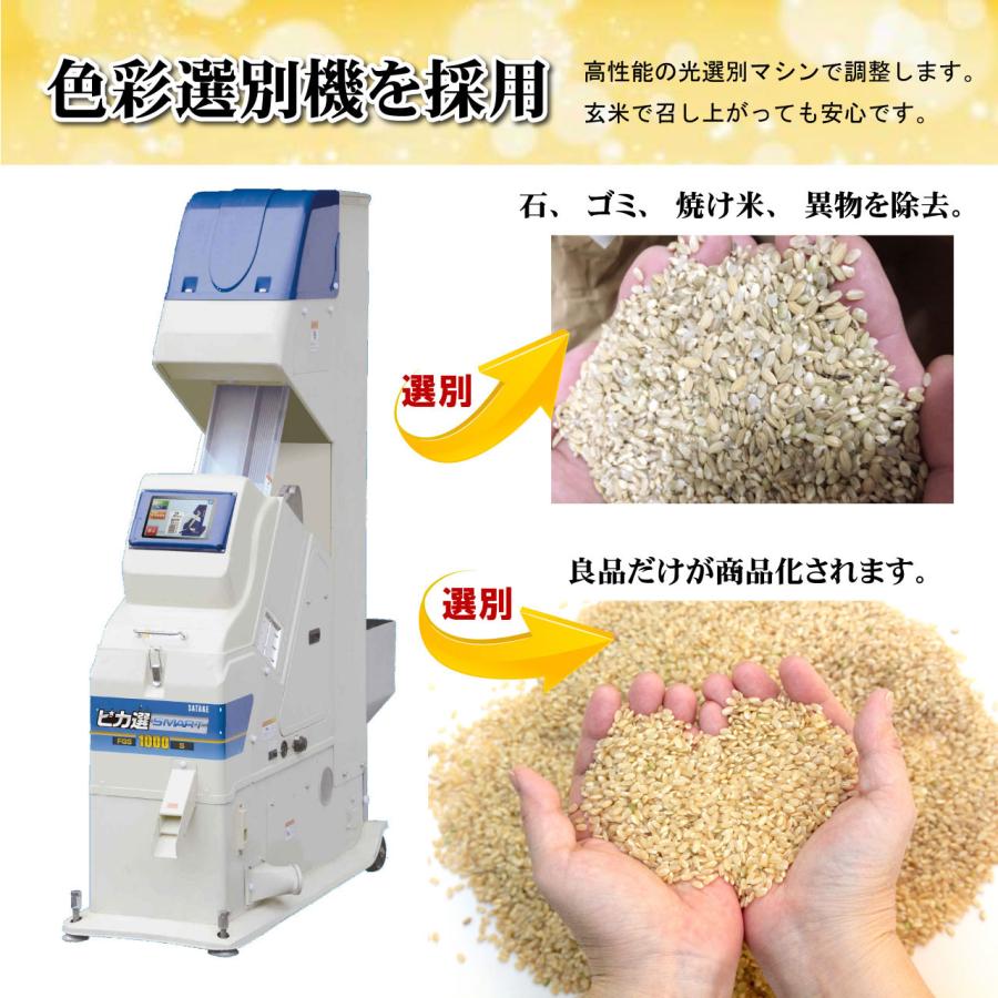 1.8kg(600gx3袋) 無農薬 無肥料 ササニシキ 亀の尾 コシヒカリ 玄米 白米 : PHNstyle - 通販 - Yahoo!ショッピング