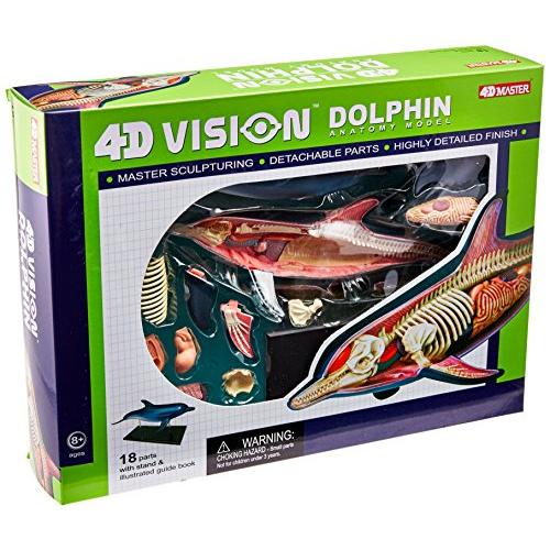 Famemaster 4D-Vision Dolphin Anatomy Model by TEDCO :B0035YJVUI:Pi-Old - 通販 - Yahoo!ショッピング