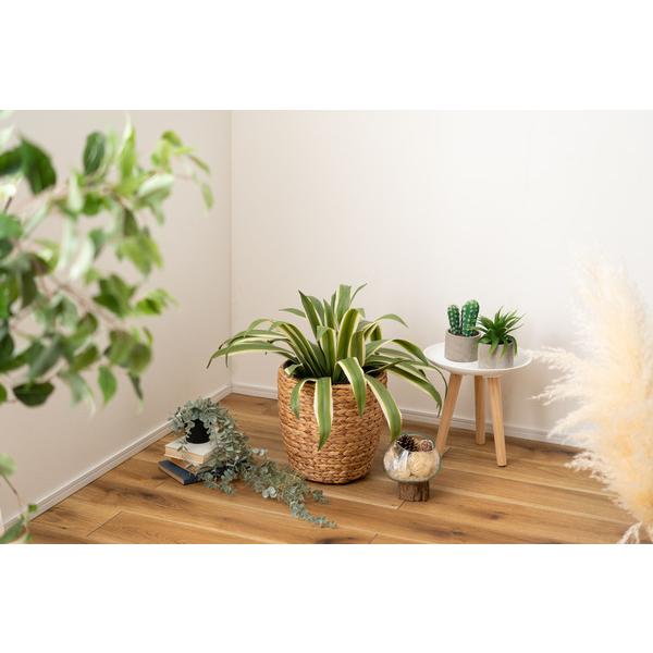 プランター PLT-51 S : ぴか曽 ヤフーショップ - 通販 - Yahoo!ショッピング