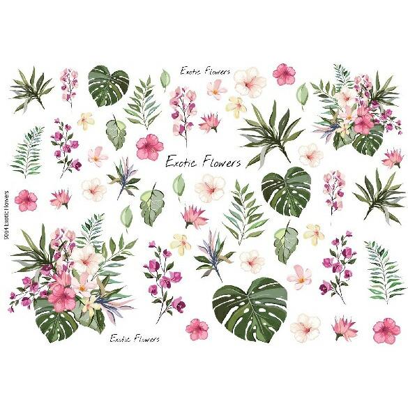 白磁用転写紙Q 9064エキゾチックリーフ＆フラワー / Hawaii ハワイアン モンステラ ボタニカル トロピカル ハイビスカス プルメリア 花柄 葉っぱq0 : 転写紙ショップぴこランド ...