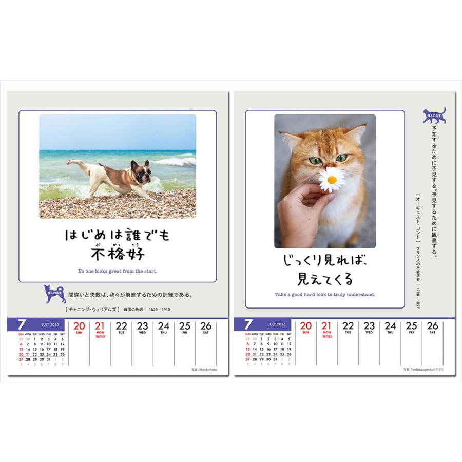 【残りわずか!!】人生はワンチャンス！ / 人生はニャンとかなる！ 卓上/壁掛セット 25CL-0383 25CL-0384 2025年カレンダー 25CL-0383-0384 : ピジョン ...