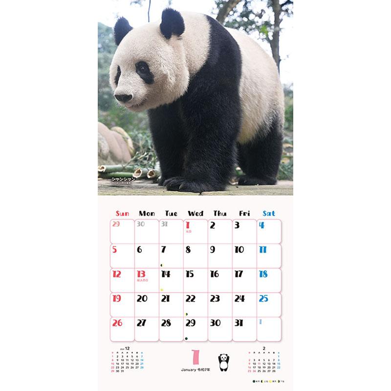 【残りわずか!!】シャンシャン・シャオシャオ・レイレイ 2025年 壁掛けカレンダー CL-385 25CL-0385 : ピジョン - 通販 - Yahoo!ショッピング