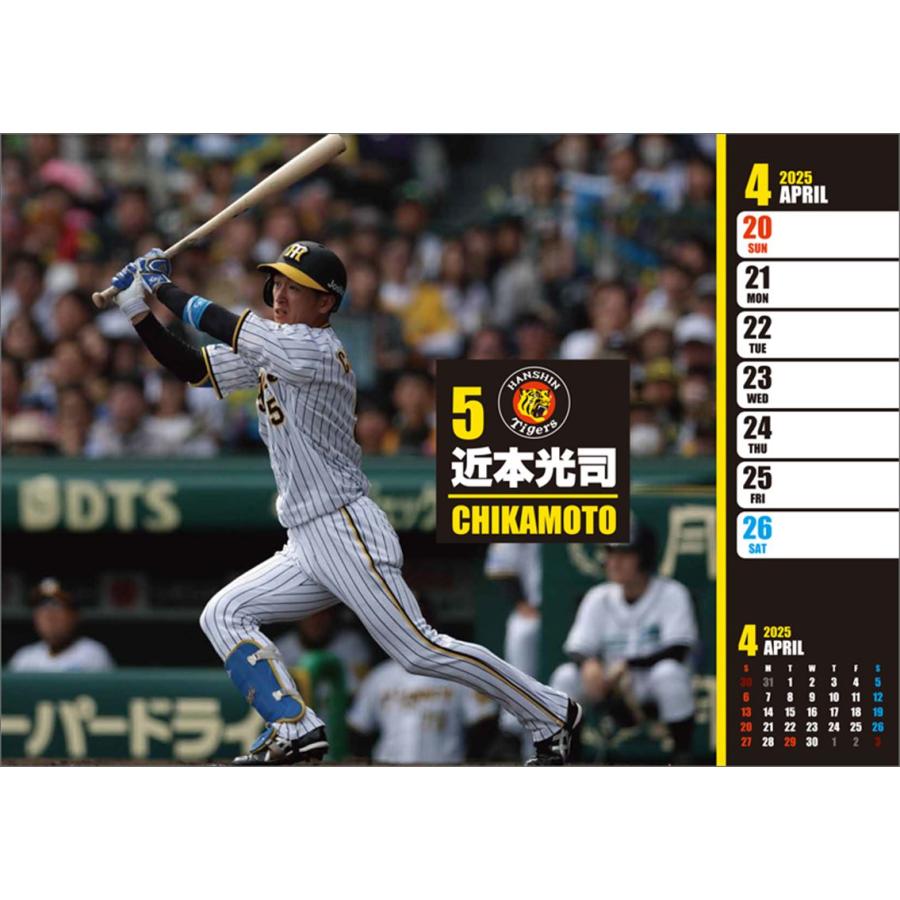 【残りわずか!!】卓上 阪神タイガース週めくり 2025年カレンダー 25CL-0589 : ピジョン - 通販 - Yahoo!ショッピング