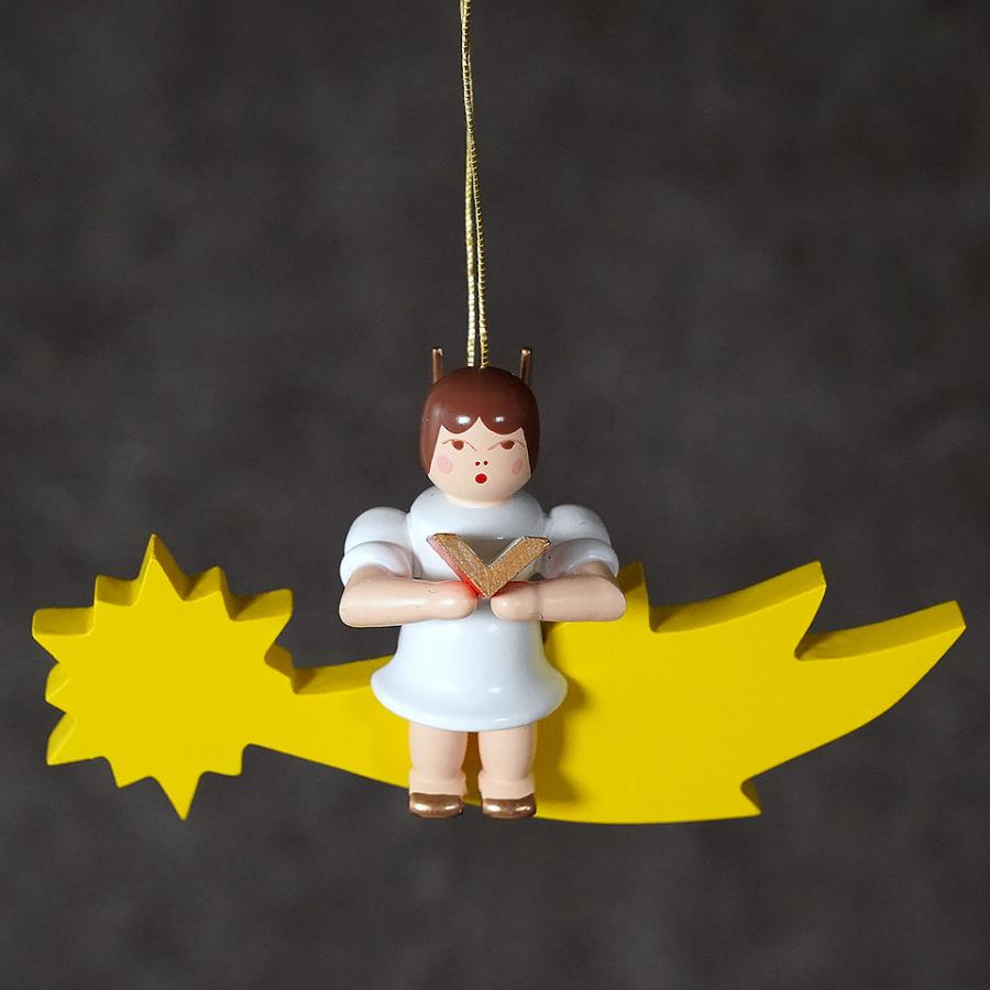 クリスマスツリー オーナメント ドイツ アルビン・プライスラー 星に乗った本読む天使 上り星[140029] : ピカキュウAC2号ヤフー店 ...