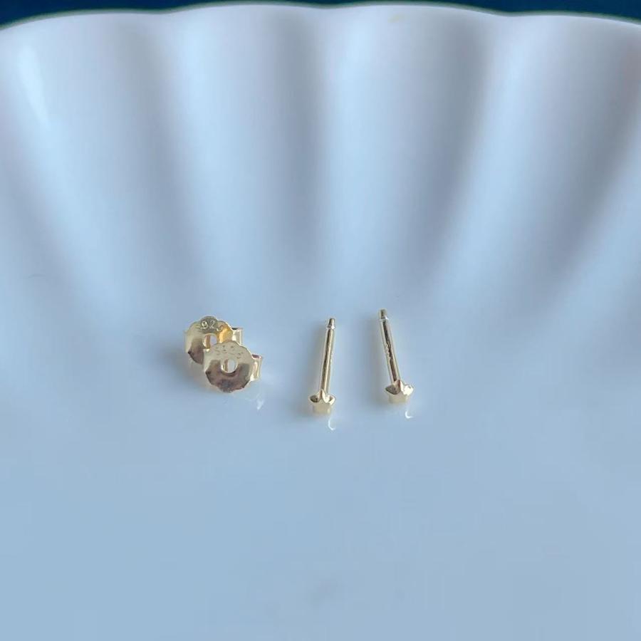 《金属アレルギー対応》Silver925 S925 シルバーピアス 星 スター 2mm 小ぶり 小さい 目立たない ピアス Peacetachio : シルバーアクセサリー専門店ピスタチオ ...