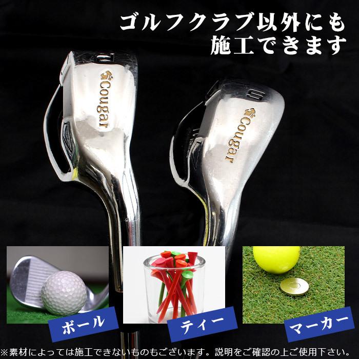 ゴルフ クラブ ゴルフ用品 メンテナンス お手入れ 艶プラス GOLF SHIELD 30ml 5本セット ゴルフクラブ クリーナー 親水 防汚 艶 ゴルフグッズ ティー : ピットライフ ...