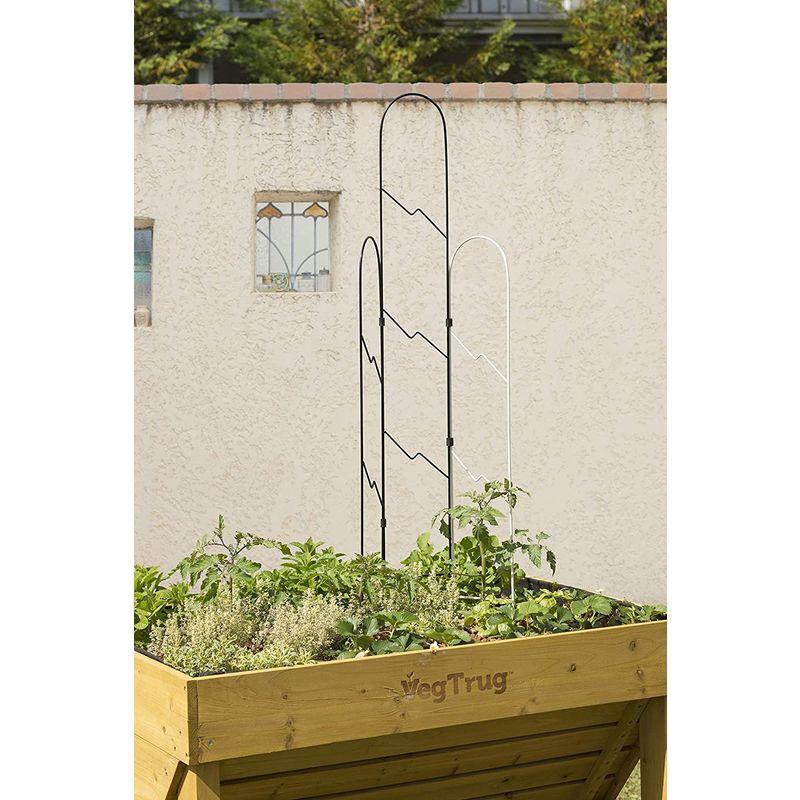 タカショー(Takasho) ベジトレリスタワー M ブラック :20230327043418-01017:plantar-arch06 - 通販 - Yahoo!ショッピング