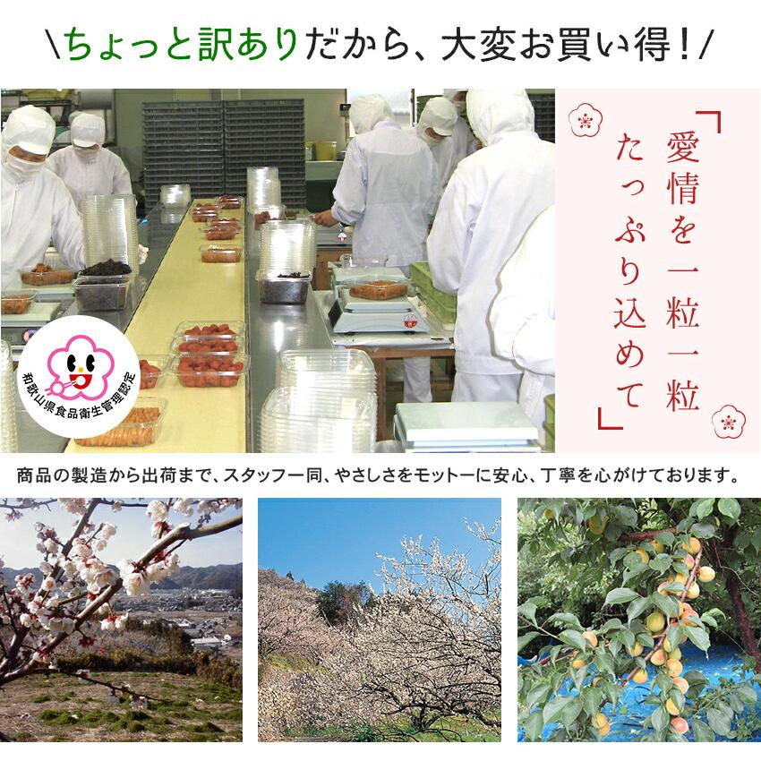 総量1.2kg 3種 梅干し食べ比べセット (はちみつ梅・あまちゃづる梅・うす塩梅) 送料無料(北海道・沖縄送料700円) : プラムレディ - 通販 - Yahoo!ショッピング