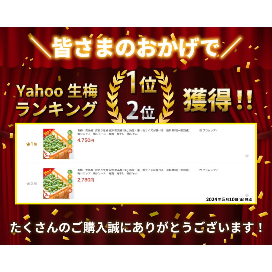 青梅 訳あり青梅 紀州南高梅 1kg [2Lサイズ青梅のみ] 送料無料(一部別途) 梅シロップ 梅ジュース 梅酒 : プラムレディ - 通販 - Yahoo!ショッピング