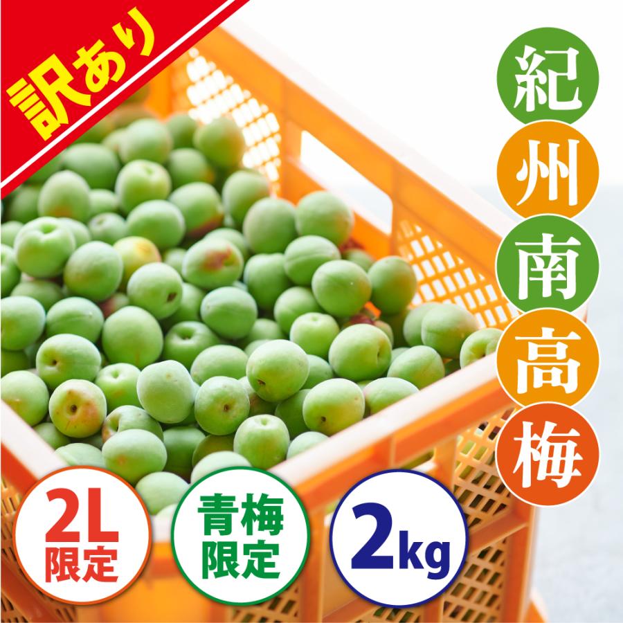 青梅 訳あり青梅 紀州南高梅 2kg [2Lサイズ青梅のみ] 送料無料(一部別途) 梅シロップ 梅ジュース 梅酒 :wakeari-aoume-2L-2kg:プラムレディ - 通販 ...