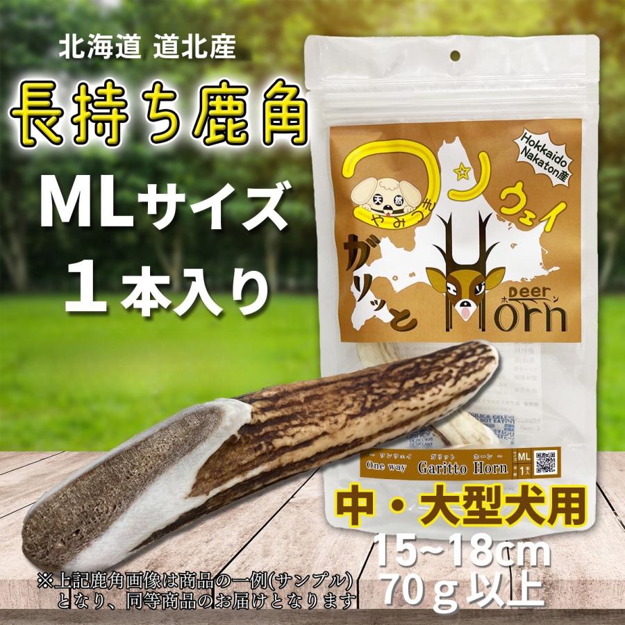 +One way 鹿の角 MLサイズ『ガリッとホーンレギュラー（一本物）中・大型犬用1本入り』犬のおやつ 犬用品 エゾシカ(鹿の角) デンタルガム しつけ 無添加 : Plus Oneway ...