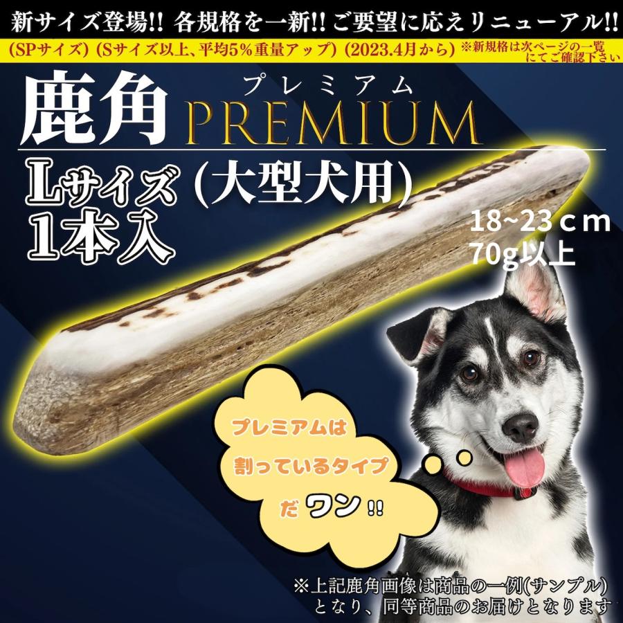 +One way 鹿の角 Lサイズ『ガリッとホーンプレミアム（半割り）大型犬用1本入り』犬のおやつ 犬用品 エゾシカ(鹿の角) デンタルガム しつけ 無添加 : Plus Oneway ...