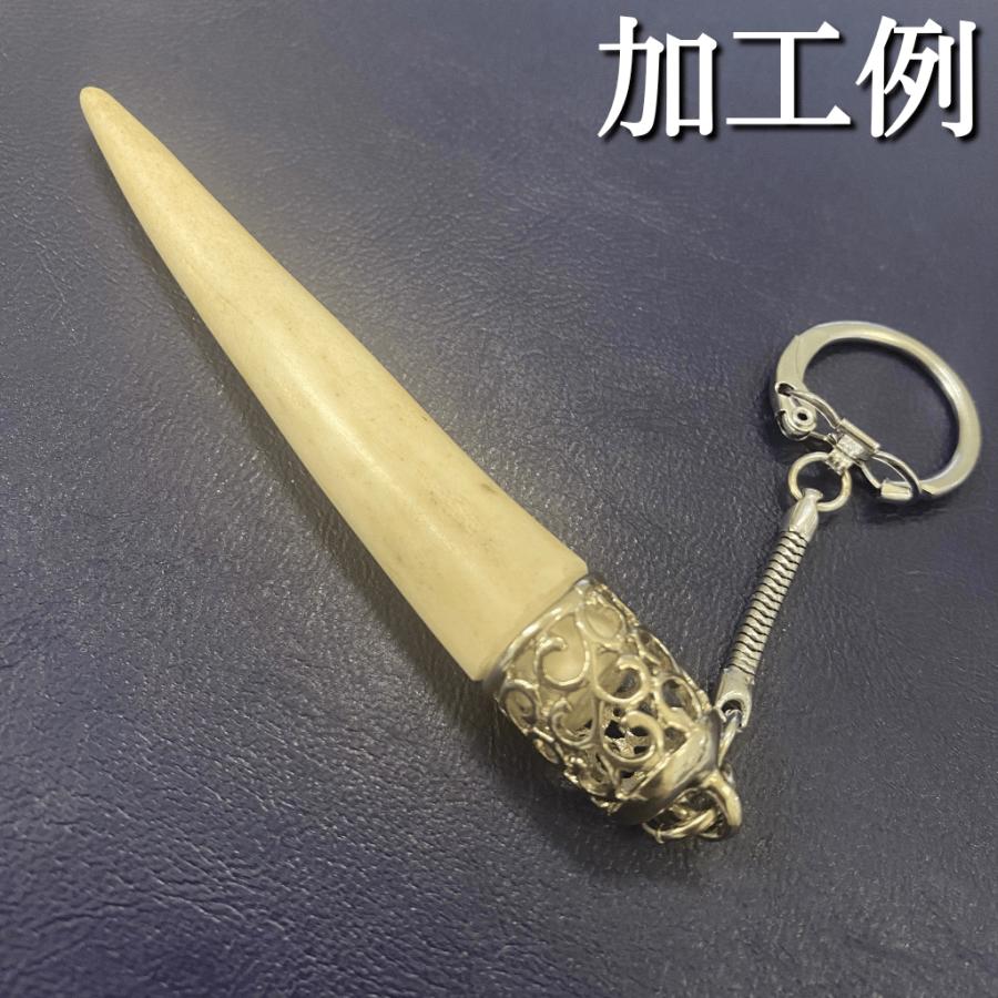 鹿の角 ハンドメイド用パーツ 先端S 4個入(ネックレス用他)鹿角 天然素材 : Plus Oneway - 通販 - Yahoo!ショッピング