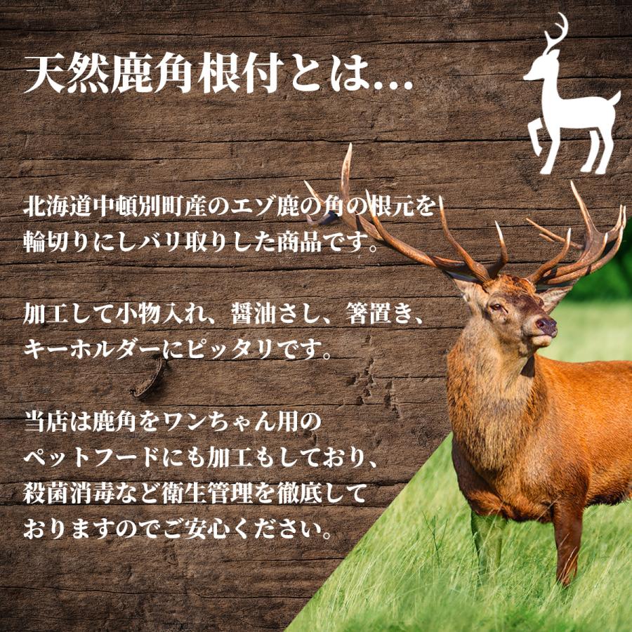 鹿の角 ハンドメイド用パーツ 根付(Lサイズ)ランダム3個パック 鹿角 天然素材 : Plus Oneway - 通販 - Yahoo!ショッピング