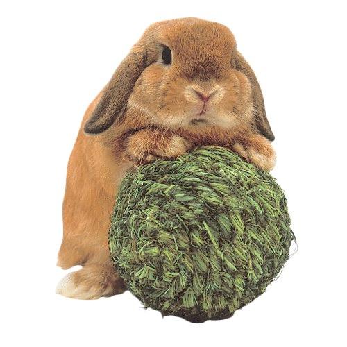 わらっこ倶楽部 リンリンボール : plusa - 通販 - Yahoo!ショッピング