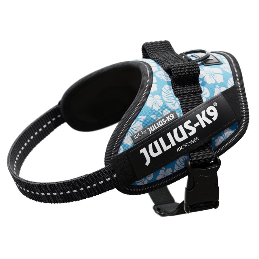 IDCパワーハーネス サイズ: XS/ミニミニ アロハスカイブルー : plusae60bfddaa7 : plusa - 通販 - Yahoo!ショッピング