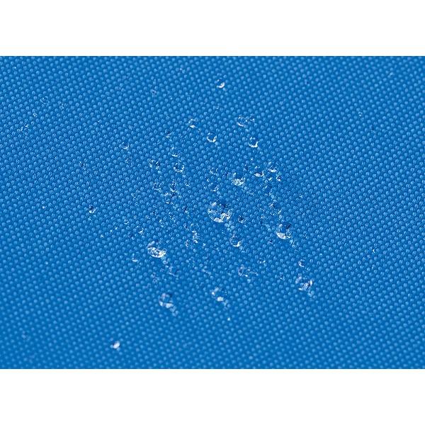 サーモス 保冷バッグ RFD-020 BL ブルー ソフトクーラー 20L ギフト クリスマス プレゼント : プラスマート ヤフー店 - 通販 - Yahoo!ショッピング