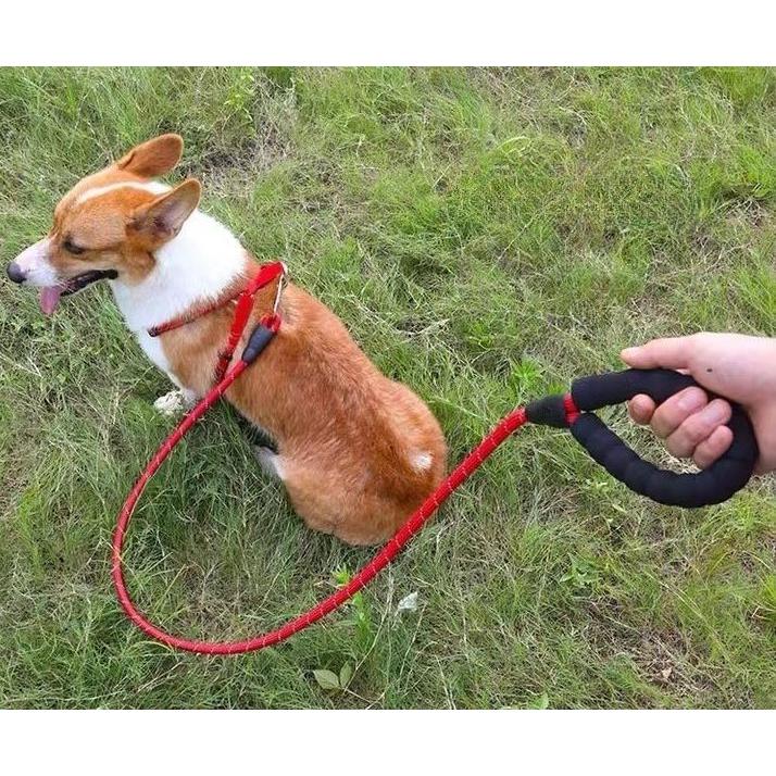 plusnao リード 犬用 犬 小型犬 犬のリード ナイロン 反射材 ペットグッズ 散歩 おでかけ 持ちやすい 1.5m シンプル おしゃれ かっこいい かわいい : プラスナオYahoo ...