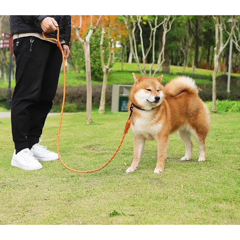 plusnao リード 反射材 犬用 ペット用品 牽引紐 散歩紐 縄 リーシュ 1.5m ナスカン 簡単装着 持ちやすい 夜光 夜間 ペットグッズ お出掛け イヌ用 : プラスナオYahoo ...