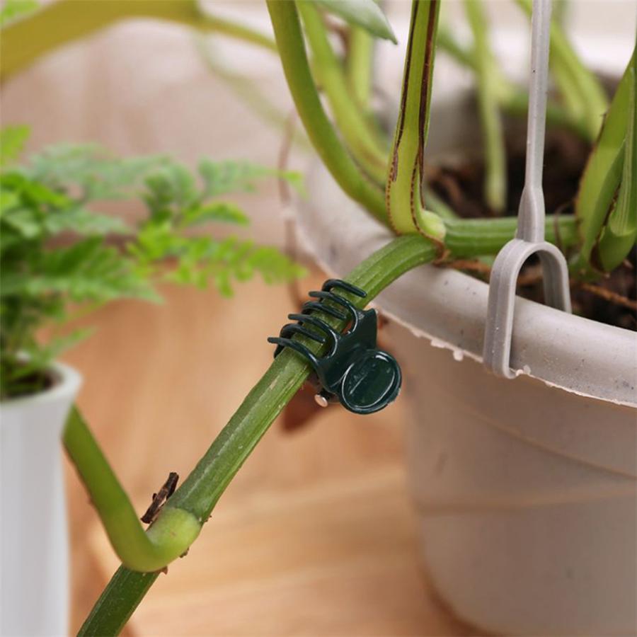 園芸用クリップ 植物クリップ 100個入り 誘引クリップ 植物サポート つる 洋ラン 洋蘭 誘引作業 園芸用品 ガーデニング 家庭菜園 農業用 野菜 : プラスナオYahoo!店 - 通販 ...